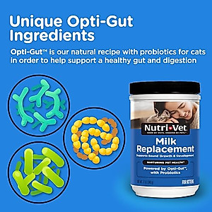 Nutri-Vet Milk Replacement For Kittens - Healthy Gut Support with Probiotics - Essential Nutrients - Veterinarian Formulated - 12 oz