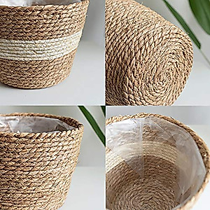 SANGDA Seagrass Basket Planters, Flower Pots Cover Storage Basket Plant Containers Hand Woven Basket Planter with Plastic Liners Straw Flower Pot for Indoor Outdoor Plant