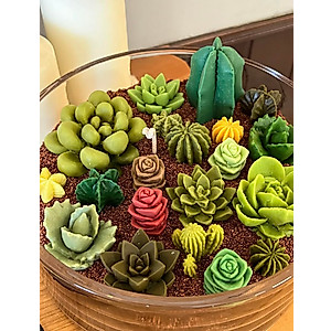 Navani 9 Pack Succulent Silicone Mold,Flower Resin Mold,Silicone Candle Molds.3D Cacti Candle Mold Silicone for Scented Candles Soaps Making, Wax, Resin Casting,Soap Cake Dessert Mousse Mold (A)