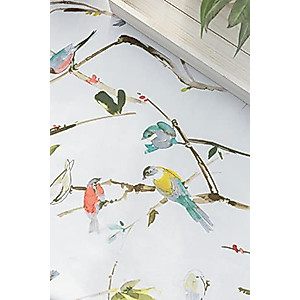 Benson Mills Indoor-Outdoor Spillproof Fabric Tablecloth for Spring/Summer/Party/Picnic (52" x 52" Square, Menagerie)