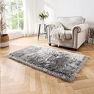 Rainlin Ultra Soft Fluffy Faux Fur Area Rugs for Bedroom Living Room Grey Fuzzy Washable Home Decor Carpets Luxury Plush Shag Rectangular Rugs,3x5 Feet