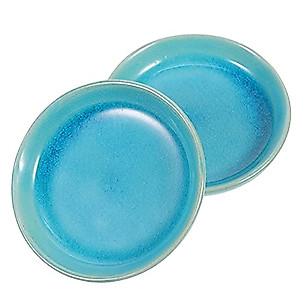EXCEART Gua Sha Scraping Dish 2PCS Ceramic Scraping Dish Promote Body Blood Circulation Plate Ceramic Round Plate