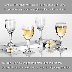 Valeways Shot Glasses, 5oz Mini Wine Glasses Set of 6, Cute Shot Glasses/Great for White and Red Wine/Tasting Glasses/Wine Glass Clear