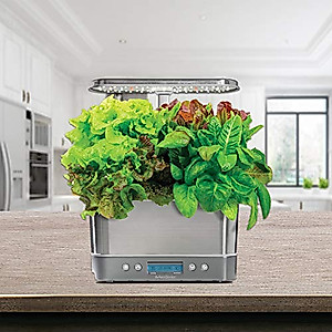 changsha 50Pcs Grow Baskets and Sponges - Grow Sponge and Grow Plant Basket Replacement Pod Cups Pot for Hydroponic Garden System (Round)