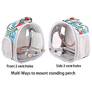 Bird Carrier Backpack with Rope Perch, Portable Bird Travel Carrier Backpack (Multi-Colored, Bird Carrier)