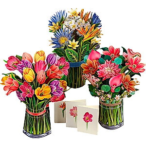 Freshcut Paper Pop Up Cards, Paper Flower Bouquet 3D Popup Greeting Cards with Note Card & Envelope, Birthday Card, Anniversary Card, Get Well Gifts for Women, 12" Everyday Appreciation 3pk