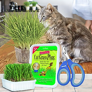 Cat Grass Plus Kit, 5.25 Oz | Bundled with Suretails Pet Nail Clipper - Grow Lush Greens Indoors, Complete with Seeds & Potting Mix, Promotes Digestion & Prevents Hairballs [Pack of 2]