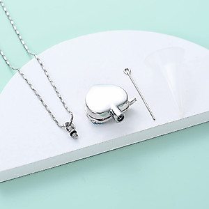 Yinplsmemory Hummingbird Cremation Jewelry Crystal Heart Urn Ashes Necklace for Women Men Memorial Keepsake Necklace of Loved One