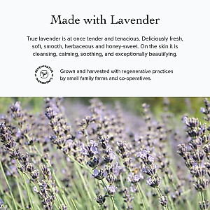 evanhealy Blue Lavender Cleansing Milk | Soothe & Calm Reactive Skin | Moisturizing Gentle Deep Clean For Sensitive Skin