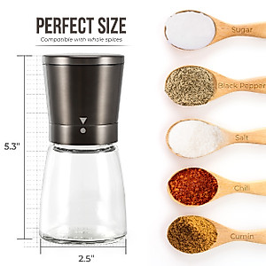 Pepper Grinder or Salt Shaker for Professional Chef - Best Spice Mill with Brushed Stainless Steel, Special Mark, Ceramic Blades, and Adjustable Coarseness (Dark Bronze)
