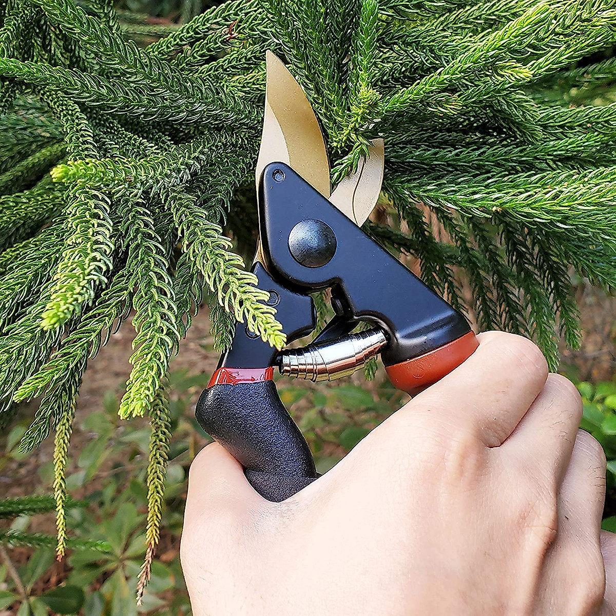 gonicc 8.5" Professional Rotating Bypass Titanium Coated Pruning Shears(GPPS-1014), Secateurs, Scissors, Pruners with Heavy Duty SK5 Blade. Soft Cushion Grip Handle for Everyone.