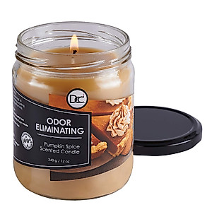 Pumpkin Spice Odor Eliminating Highly Fragranced Candle - Eliminates 95% of Pet, Smoke, Food, and Other Smells Quickly - Up to 80 Hour Burn time - 12 Ounce Premium Soy Blend