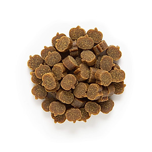 Zukes Mini Naturals Dog Training Treats for Dogs, Pet Treats Made with Real Turkey and Pumpkin, 5 oz. Resealable Pouch - 5 oz. Bag