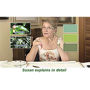 Susan Harrison-Tustain's Watercolor Masterclass Volume One. Life-like leaves, vibrant greens and 5 crucial elements for a successful painting.