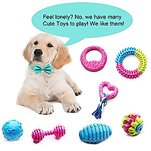 SZKOKUHO 17 Packs Durable Pet Puppy Dog Chew Toys Set Puppy Teething Ball Toys Puppy Rope Dog Tug Toy Safety Design for Small Dogs