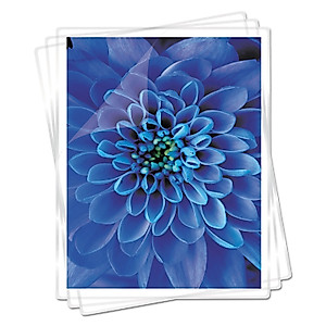 FEL52041 - Fellowes Glossy Pouches - Letter, 7 mil, 100 Pack