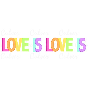 Culver Pride Decorated Frosted Double Old Fashioned Tumbler Glasses, 13.5-Ounce, Gift Boxed Set of 2 (Love Is Love)