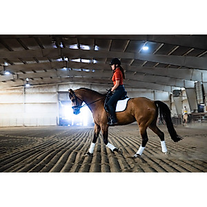 MagnaGard - Gastric Support Supplement for Horses | Relieves Ulcers, Calming Supplement, Magnesium & Other Vital Minerals | Powder, 20lb Bucket, 5-Month Supply | by Eagle Equine