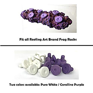 Reefing Art Ceramic Coralline Purple Coral Frag Plugs 30 Pack Tiles for SPS