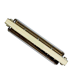 WAAZVXS Diatonic Harmonica 10 Hole 20 Tones Blues Harp Mouth Organ Instrumentos Diatonic Key of C Musical Instruments (Color : Key of Low G)
