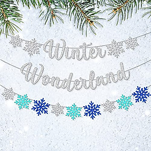 3PCS Exquisite Winter Wonderland Banners,Snowflake Christmas Banners Photo Props Banner  for Christmas Party Home Decorations