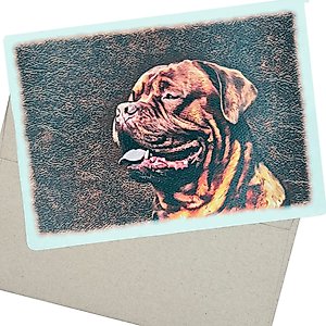Groomers Margins French Mastiff Birthday Card, Dog Birthday Card (5X7 Inch and Blank Inside) - 62