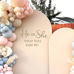 ZAIBIANHAO HE or SHE What Will Baby Be Gender Reveal Party Decal - Gender Reveal Party Decorations,Boy or Girl Baby Shower Backdrop Sign,He or She Baby Shower Decal (HE or SHE Baby Decal)