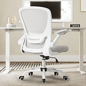 EUREKA ERGONOMIC Mesh Office Chair, Ergonomic Desk Chair with Adjustable Lumbar Support, Chair for Desk - Flip-Up Armrests, Breathable Computer Desk Chair with Wheels, Work Chair - BIFMA Passed(Gray)
