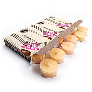 Shortie's Candle Company Fall Premium Tealight Candles Variety 3 Pack (18 Highly Scented Tea Lights) - Pumpkin Souffle, Butter Pecan Pie, Apple Harvest - Made with Natural Fragrance Oils - Collection