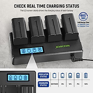 Neewer 4 Packs NP-F750 Replacement Batteries 7.4V 5600mAh with 4 Channel Battery Charger & Power Adapter, Compatible with NP-F550/750/770/970 FM500H QM71D QM91D, Field Monitor, Video Light