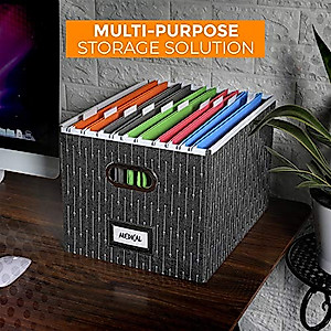 TRIZO Collapsible File Storage Organizer Box - Decorative Home & Office Portable Small Filing System for Folder & Documents (Set of 2)