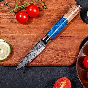 Fukep Paring Knife 3.5 Inch Damascus Paring Knife Small Fruit Knife Ultra Sharp Damascus VG10 Core Steel with 66 Layers High Carbon Steel Classical Pattern Blue Handle