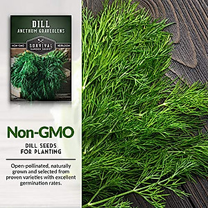 Survival Garden Seeds - Dill Seed for Planting - Packet with Instructions to Plant and Grow Popular Pickling Herbs in Your Home Vegetable and Herb Garden - Non-GMO Heirloom Variety - 1 Pack