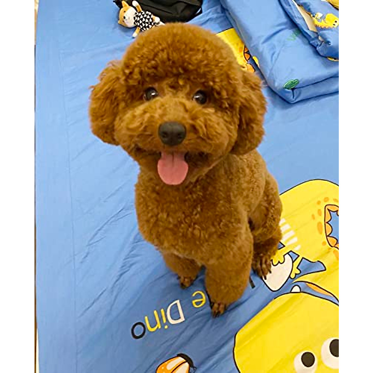 Puppy Dog Clothes Winter Plus Flannel Velvet Pet Cat Cute Fruit Fleece Teddy Bichon Pomeranian Small Dog to Keep Warm 4 Pieces (Medium)