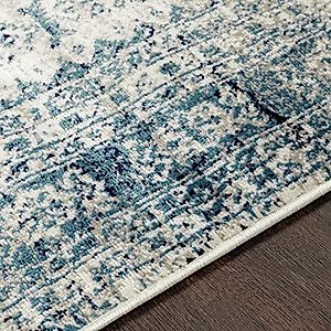 Artistic Weavers Desta Vintage Oriental Area Rug,6'7" x 9',Blue/White