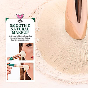 DUcare Makeup Brushes Professional 20Pcs Green Makeup Brush set with Silicone Face Mask Brush Kabuki Foundation Blending Powder Blush Concealers Eyeshadows Brushes