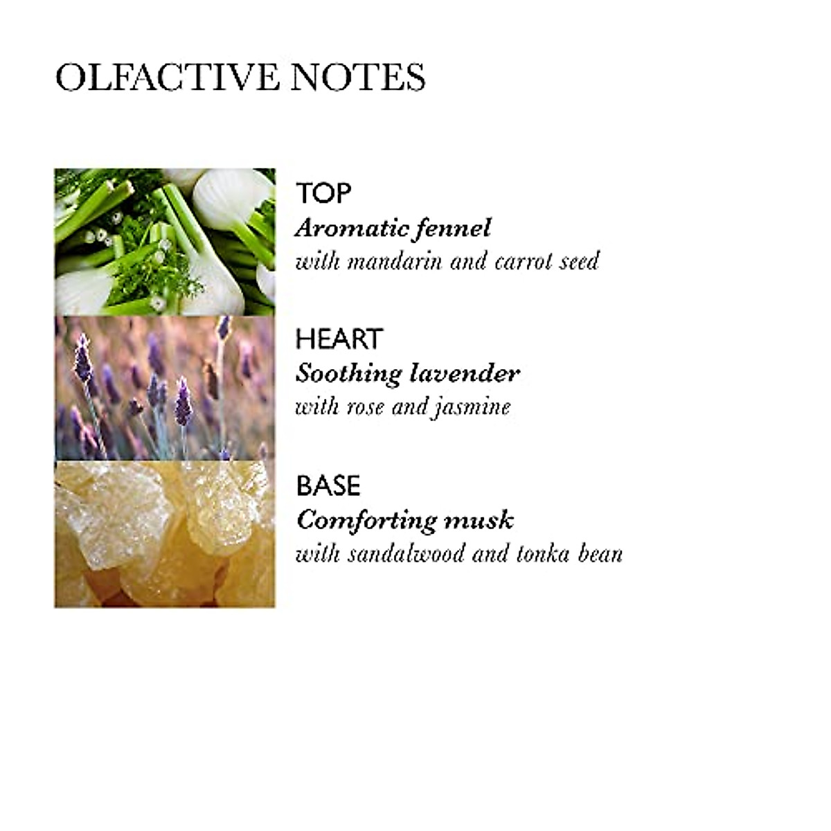 Molton Brown Repairing Conditioner with Fennel, 10 fl. oz.