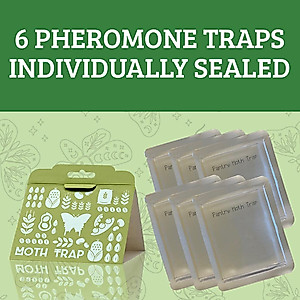 Pantry Moth Traps 6 Pack | Child and Pet Safe | No Insecticides | Premium Attractant
