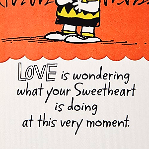 Hallmark Anniversary Card (Peanuts Vignette) (0399RZB1111)