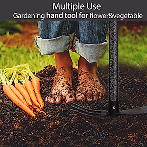 Hoe and Cultivator Gardening Hand Tools, Heavy Duty Stainless Steel Garden Hoe and 3 Fork Hand Tiller for Gardening Weeding Planting with Adjustable Handle 30 inch