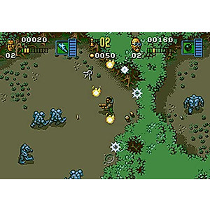 Blaze Evercade Bitmap Brothers Cartridge 1 - Nintendo DS