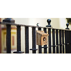 Humming Bird Houses for Outdoor Hanging Small Bird Nesting Box - Wood Nest for Robin, Hummingbird, Parakeet, Bluebird - Perch House for Outdoors Birdhouse Birds - Made of Pine Wood