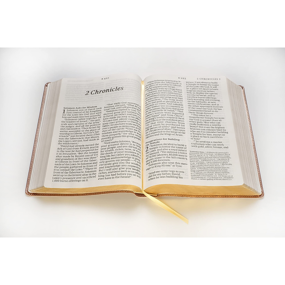 NLT Super Giant Print Bible, Filament Enabled (LeatherLike, Blush Floral, Red Letter): DaySpring Signature Collection