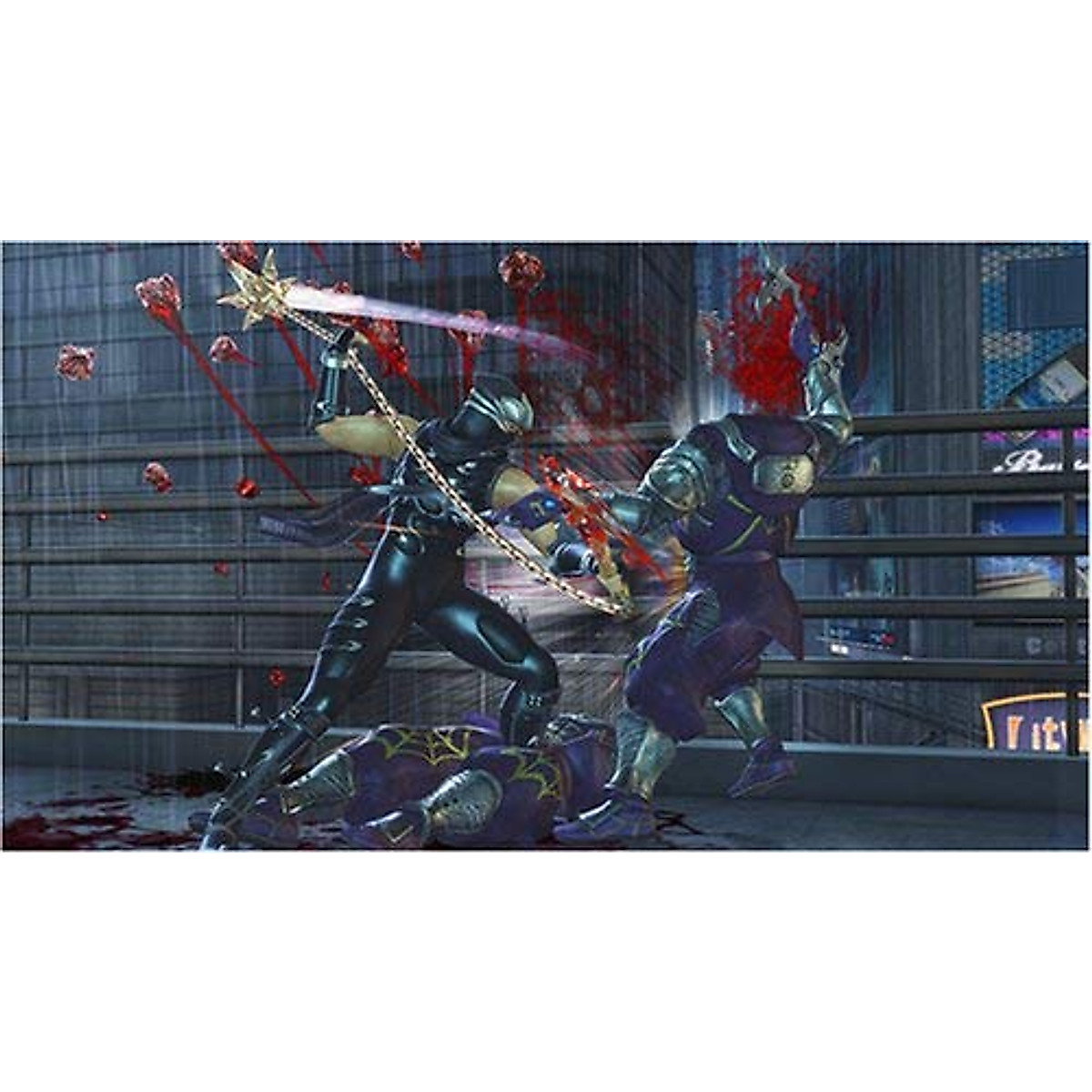 Ninja Gaiden II (Renewed)