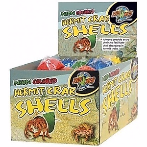 Zoo Med Hermit Crab Neon Colored Shells, Assorted Colors (3 Shells)