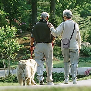 Heelay Shoulder Travel Crossbody Side Bag with Arm Band,Fits iPhone and Android,Use for Running, Walking, Hiking & Biking 6.7 * 4.7In (Black)