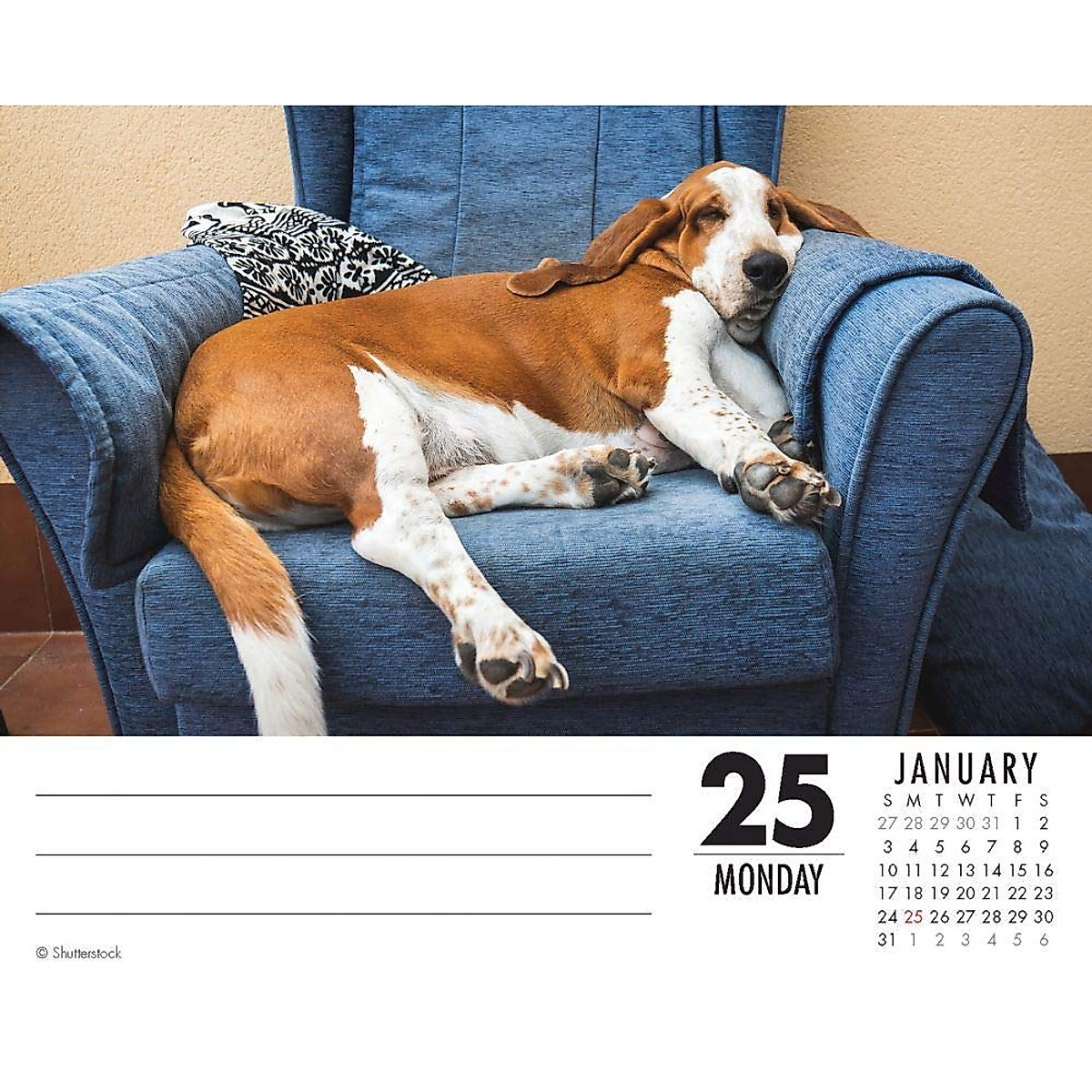 Just Basset Hounds 2021 Box Calendar (Dog Breed Calendar)