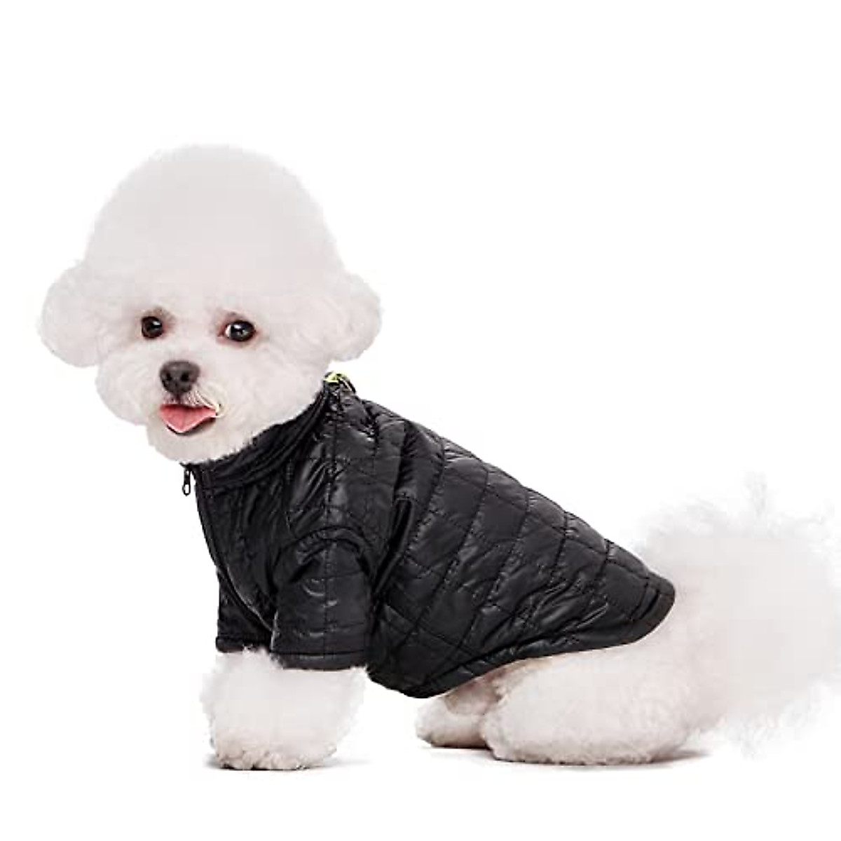 Miaododo Winter Small Medium Dog Coat Windproof,High Collar Dog Jacket Cotton-Padded for Puppy Cat Doggie Pets Dog Clothes Apparel Clothing with Zipper and D Ring
