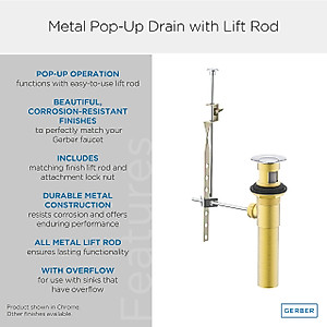 Danze D495002 1-1/4-Inch Metal Pop-Up Drain Assembly with Lift Rod and Overflow, Chrome