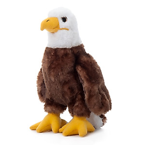The Petting Zoo Bald Eagle Stuffed Animal, Gifts for Kids, Wild Onez Zoo Animals, Bald Eagle Plush Toy 9 inches